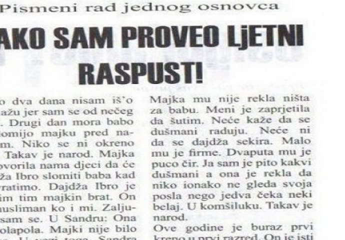 KAKO SAM PROVEO LJETNI RASPUST - Najiskreniji pismeni rad: 'Dajdža Ibro ...
